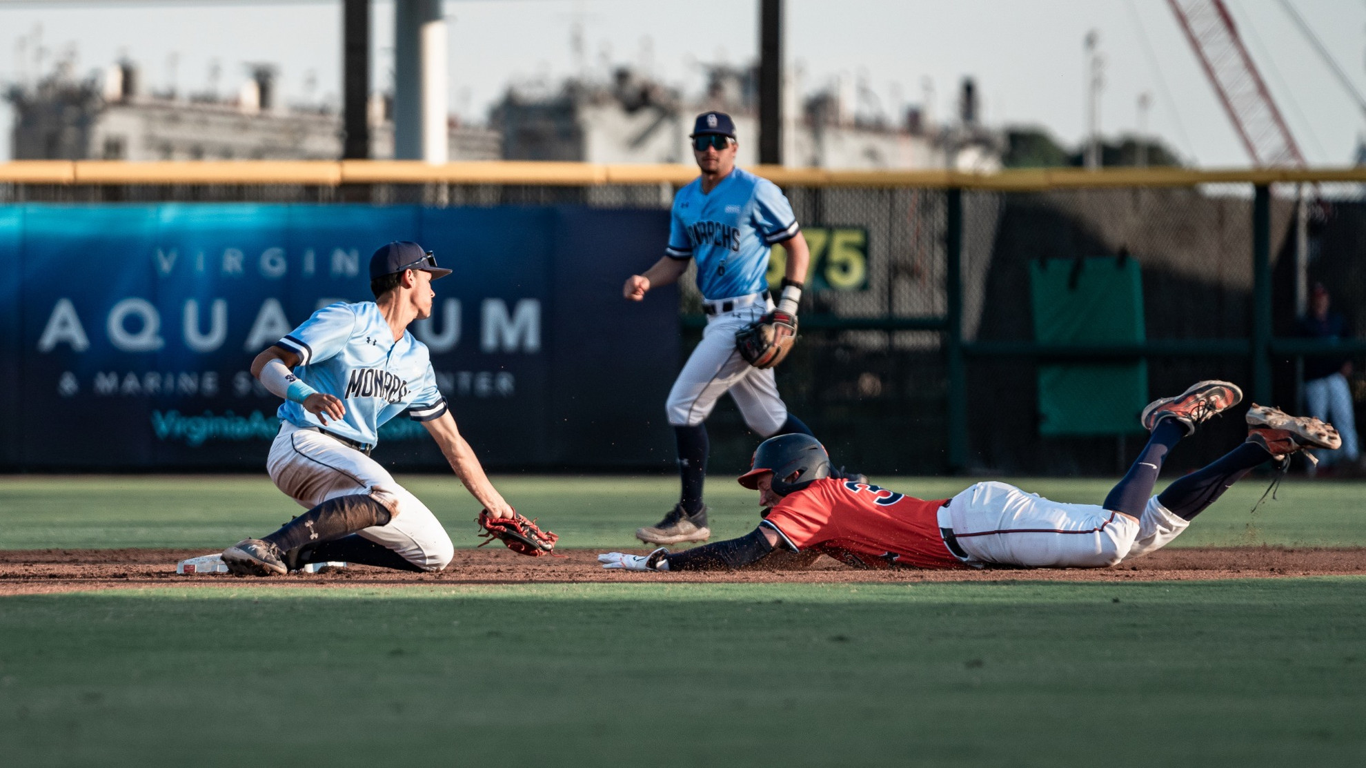 Baseball 2024 - Old Dominion Athletics