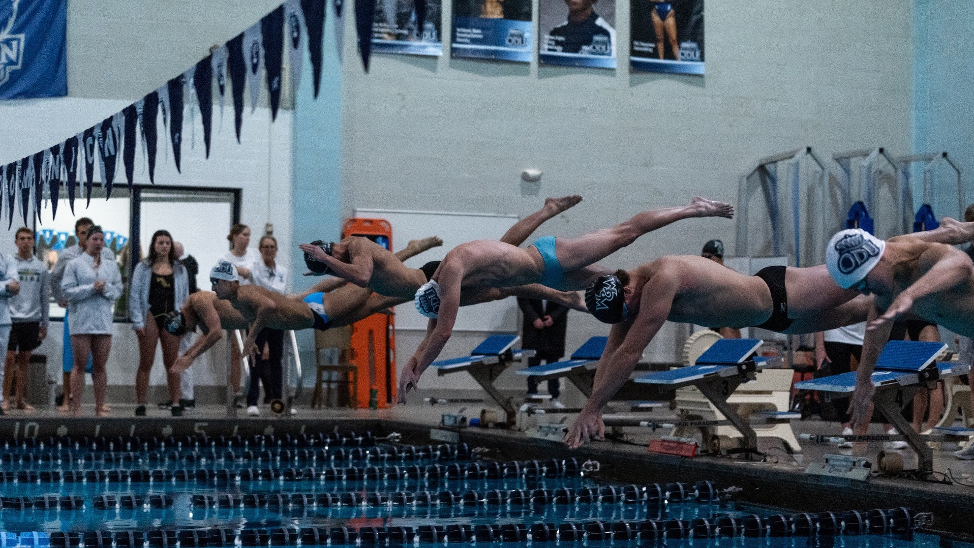 ODU Swimming Hosts American For Senior Day - Old Dominion Athletics