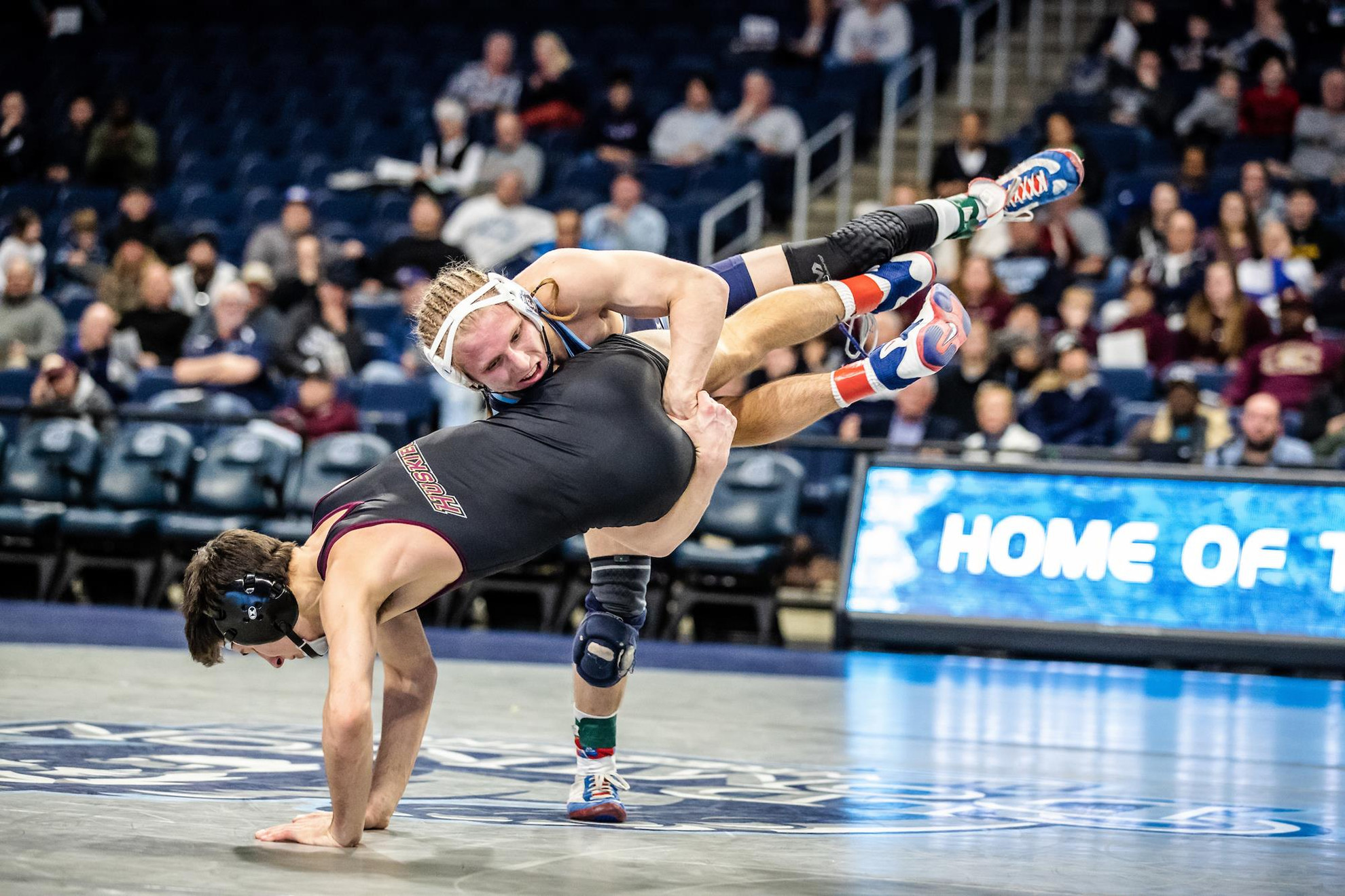 Five ODU Wrestlers Listed in Latest NCAA Rankings - Old Dominion Athletics