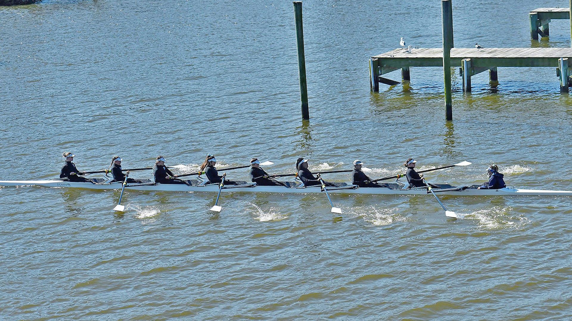 Rowing Heads To Murphy Cup After Opening Weekend Success In San Diego ...