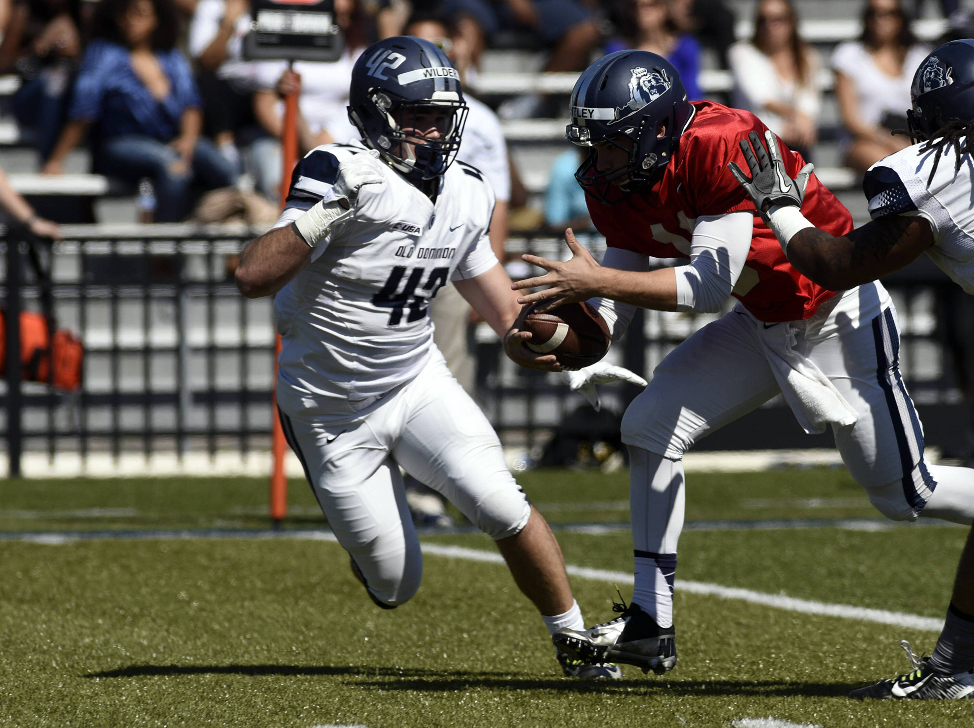 Get to Know Your Monarchs: Derek Wilder Q&A - Old Dominion Athletics