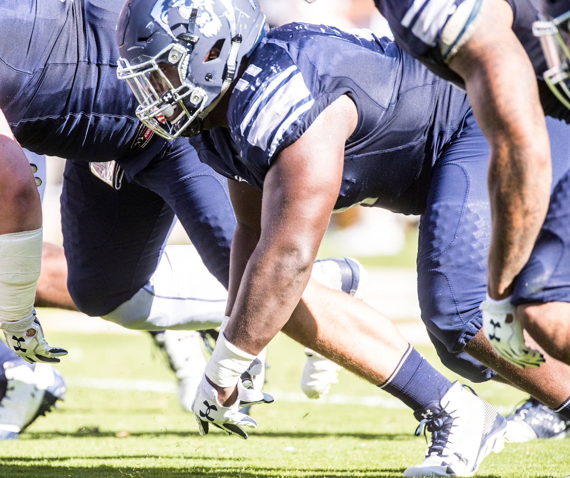 Monarch Football Feature: Miles Fox - Old Dominion Athletics