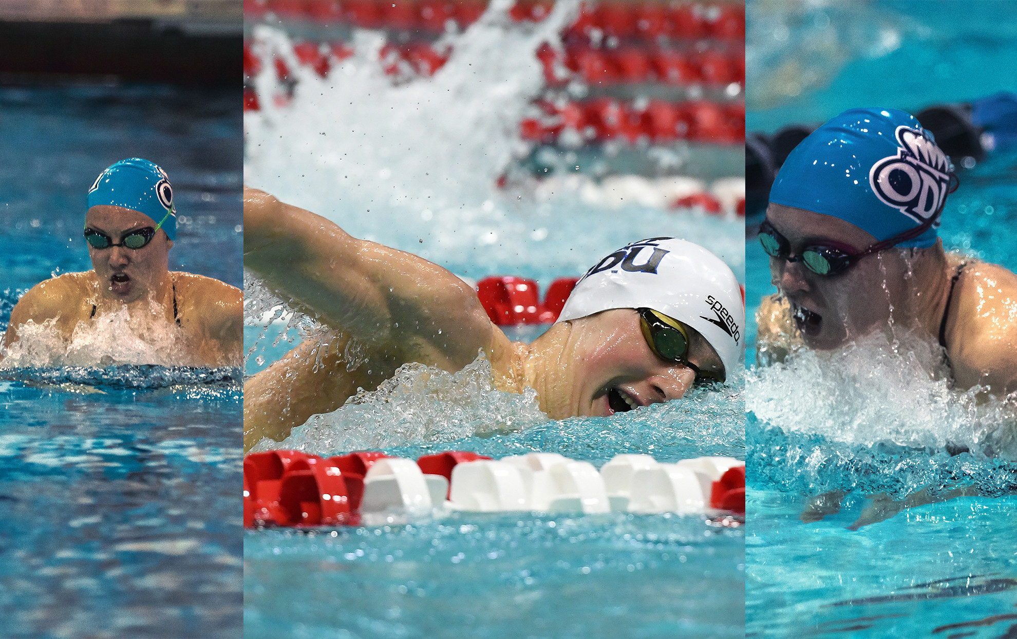 Why I chose Swimming - Old Dominion Athletics