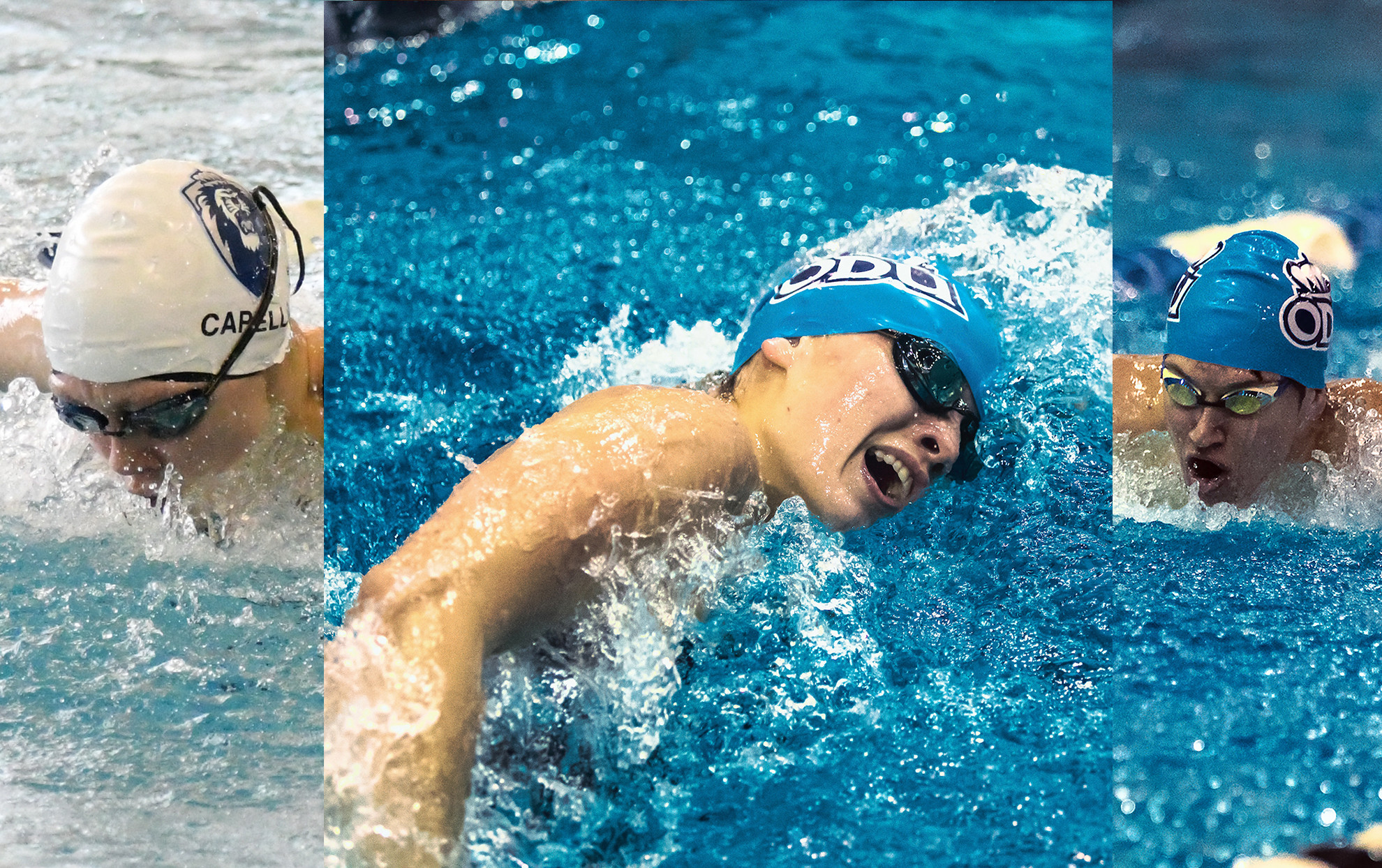 Know Your Swimming Monarchs: What is Your Major and Why - Old Dominion ...
