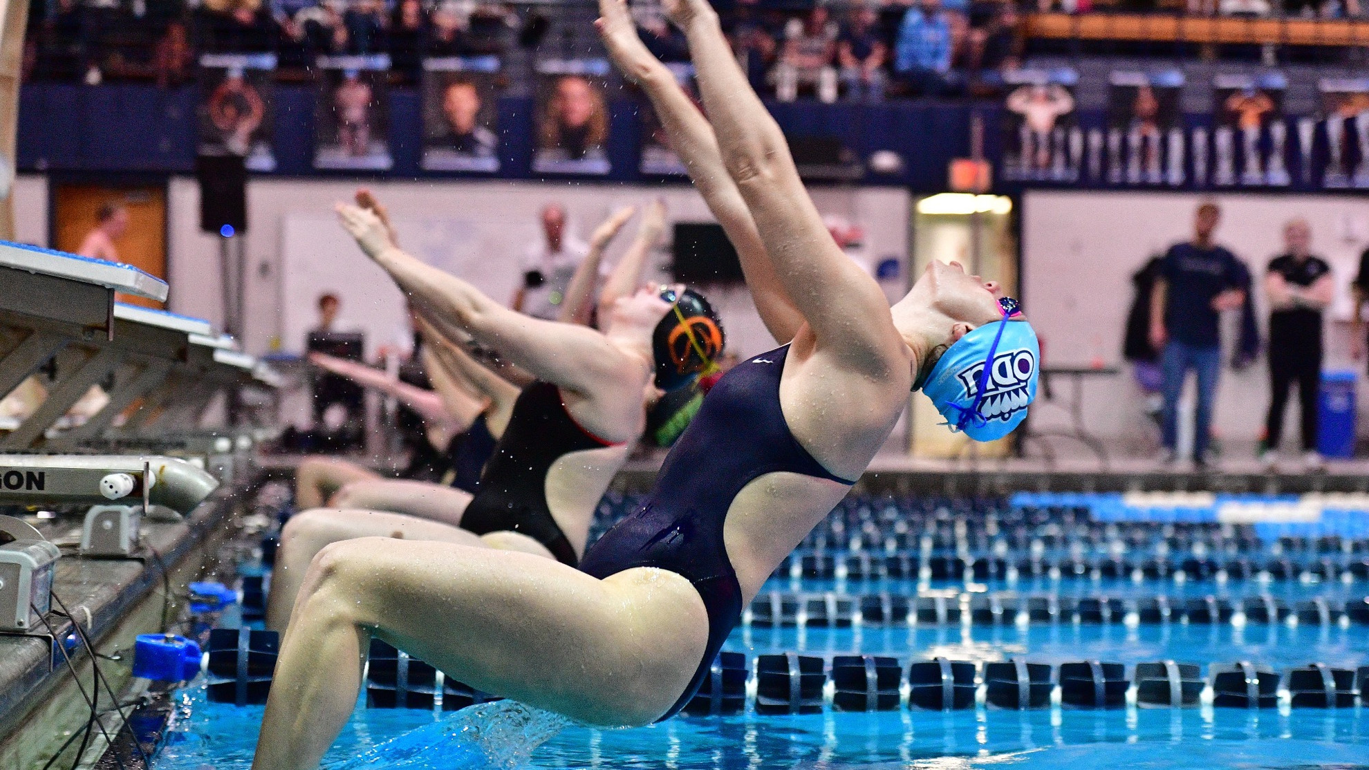 ODU Swimming Travels To Campbell For Tri-Meet - Old Dominion Athletics