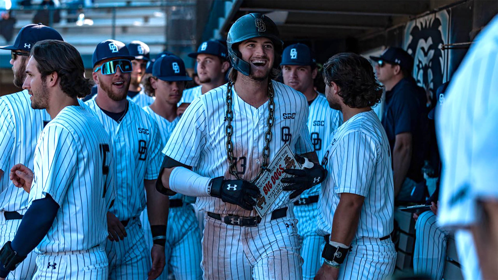 Fitz-Gerald Earns National Player of the Week Nod from Collegiate ...