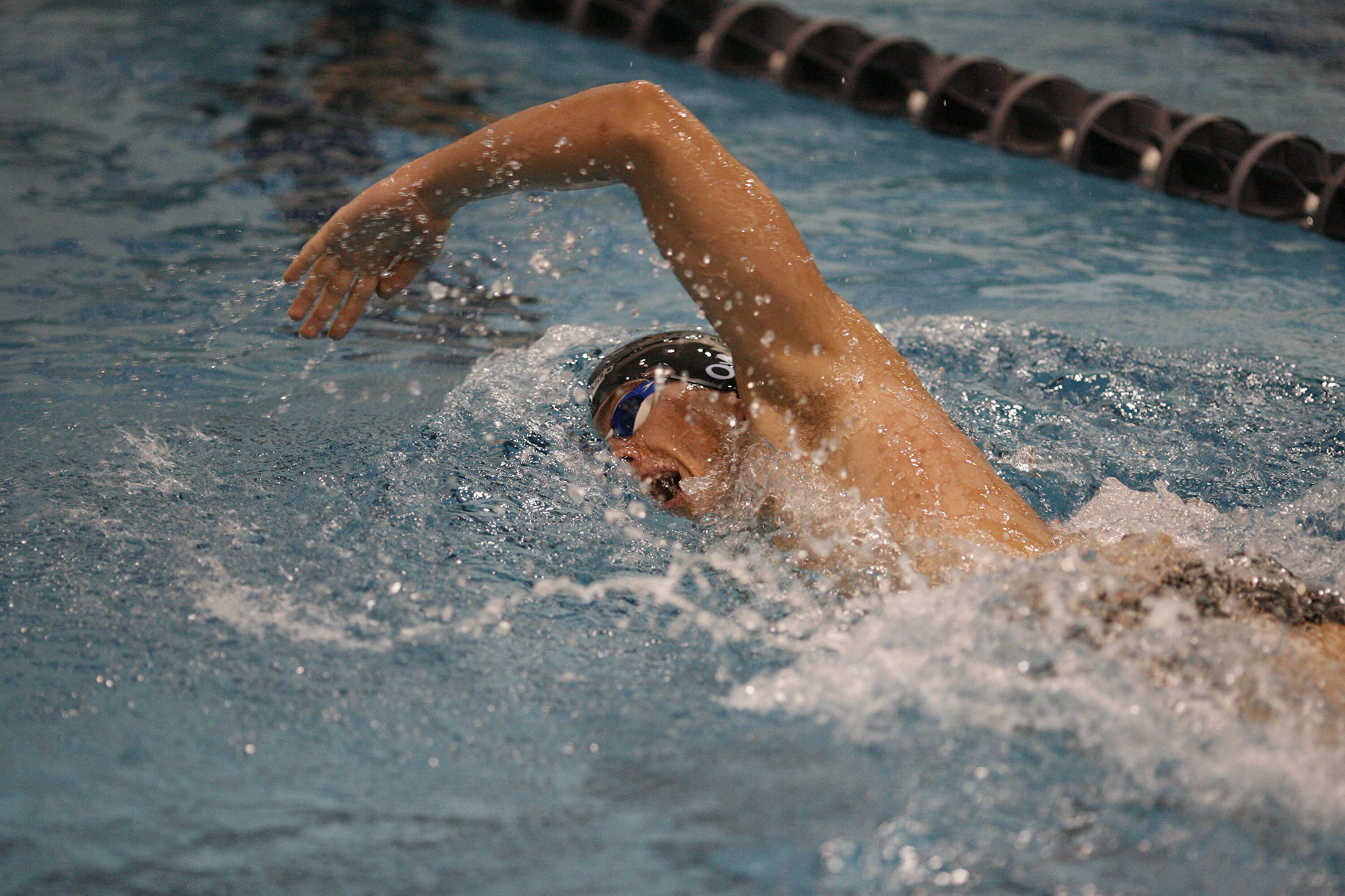 Hoxha Sets Meet Record, Eckert Wins 3-Meter Dive at C-USA Championships ...