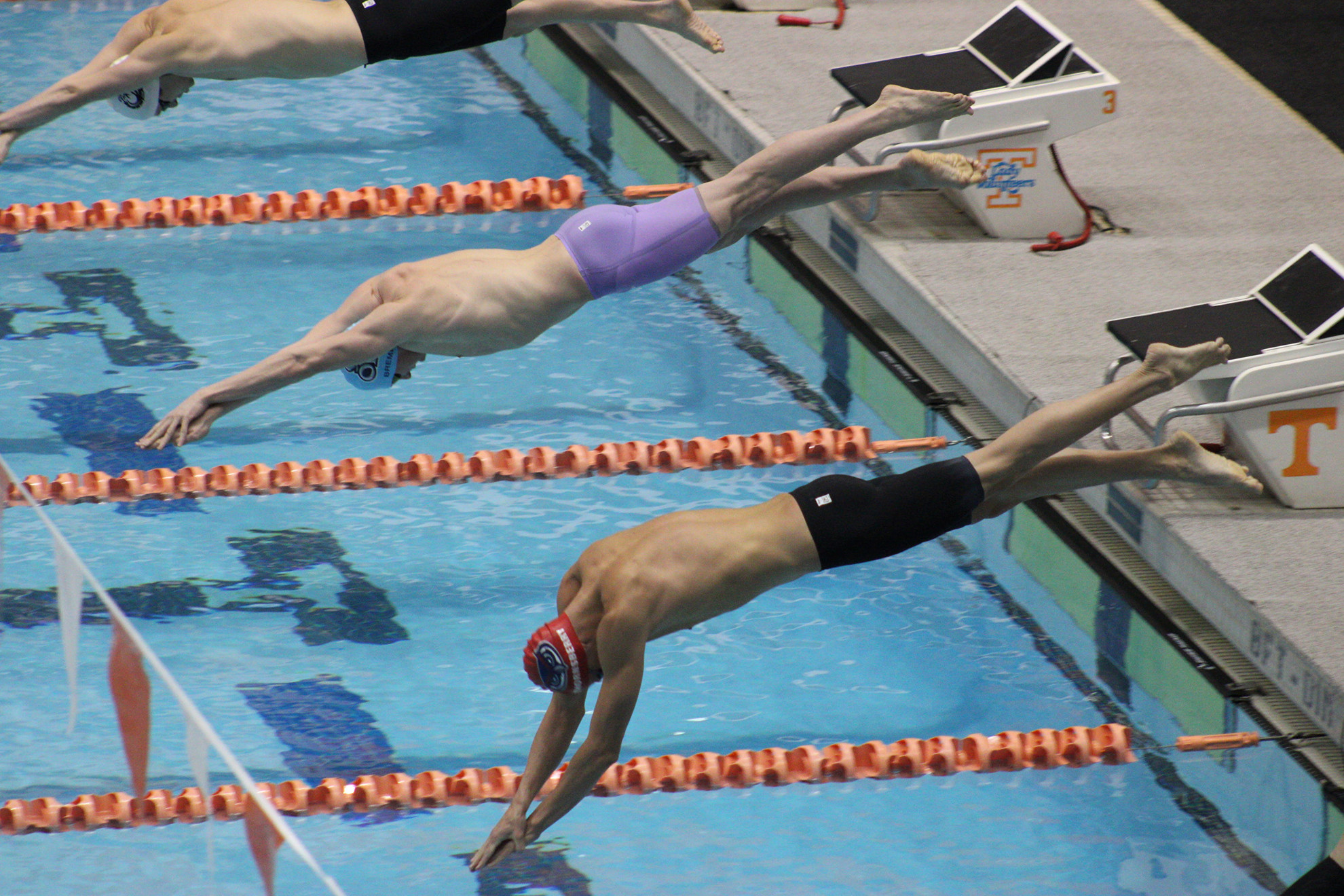 Men's Swimming Ties at Towson in Season Opener - Old Dominion Athletics